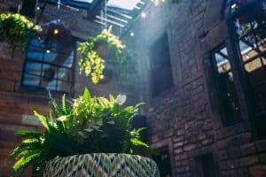 Treehouse Otley - Bar and Kitchen